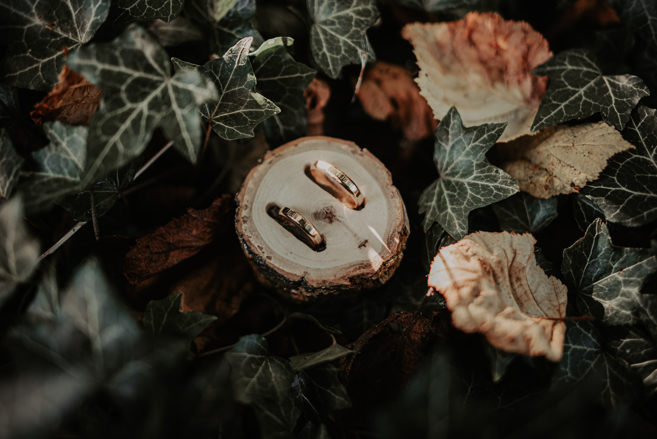 Justine & Jérémie – Régis Falque