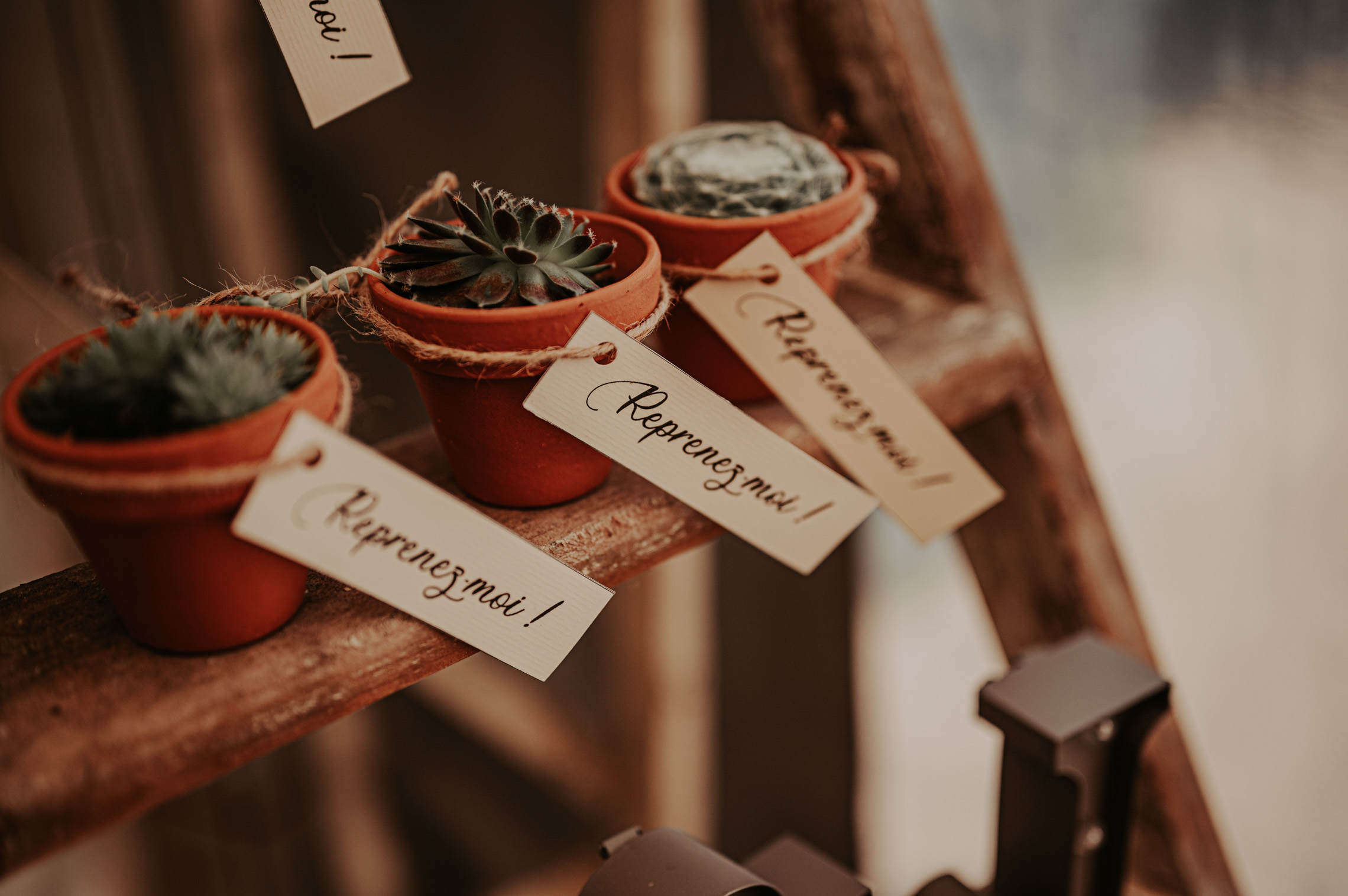 Justine & Jérémie – Régis Falque